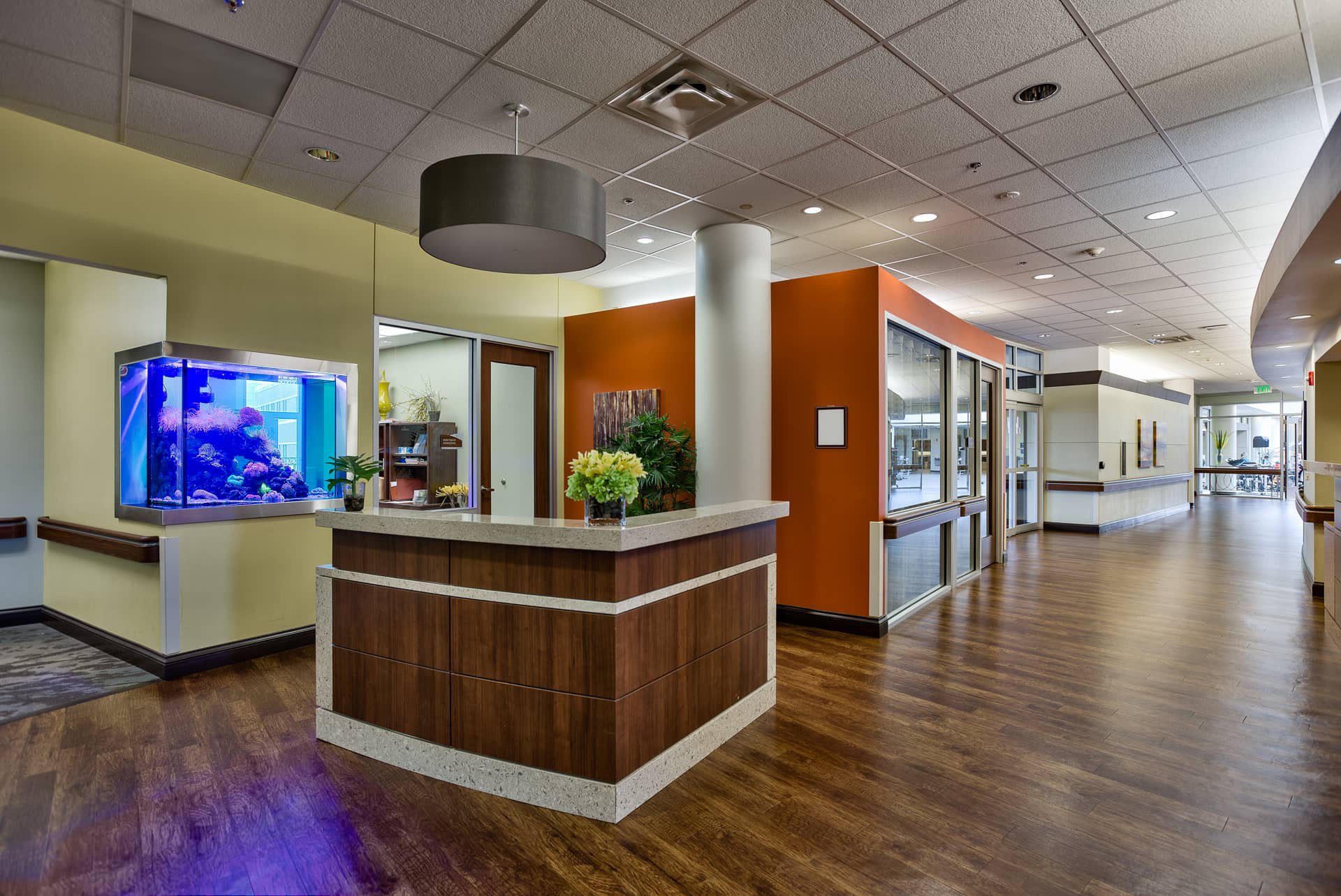 In the News | Ignite Medical Resorts